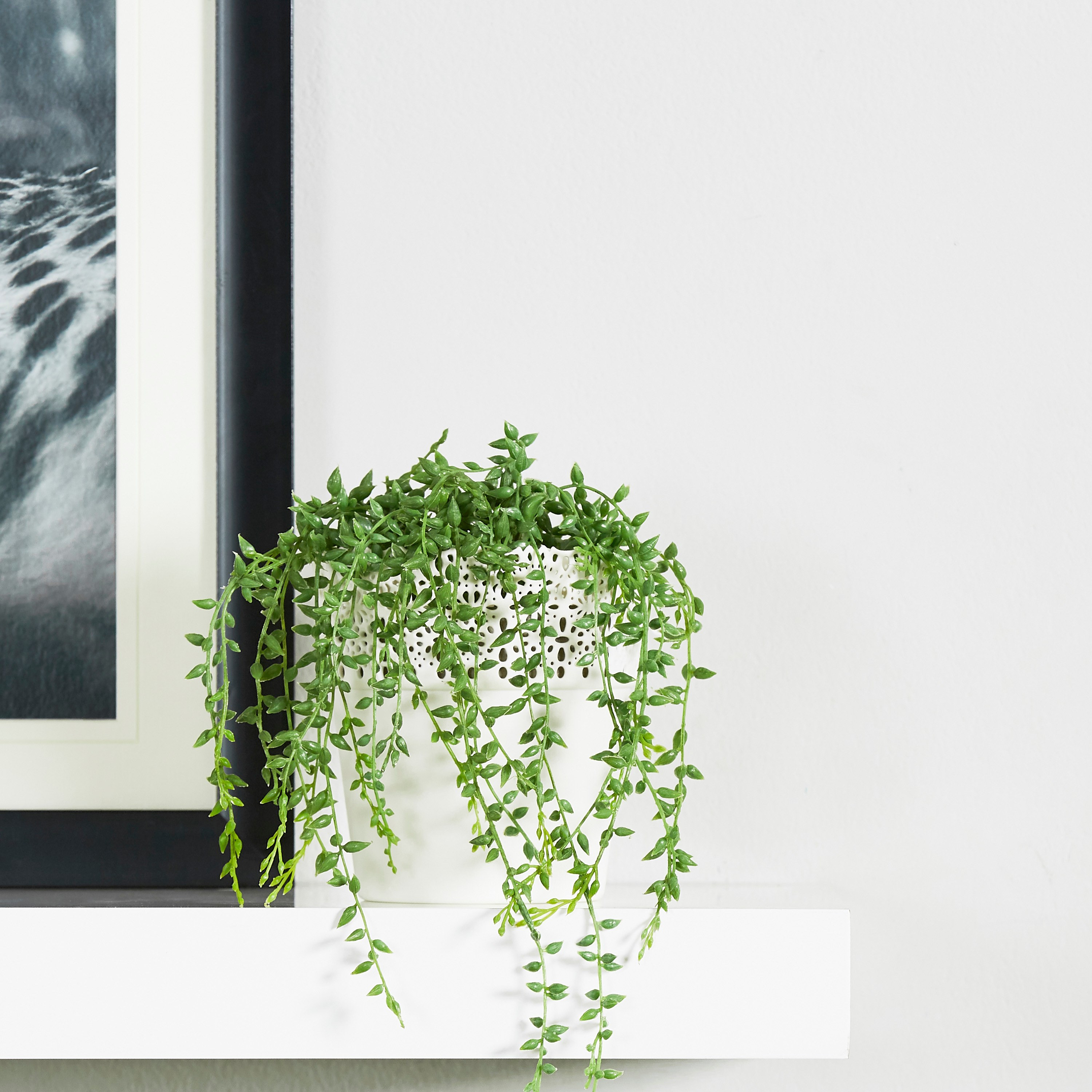 Shop Bella Planter | Homecentre Egypt