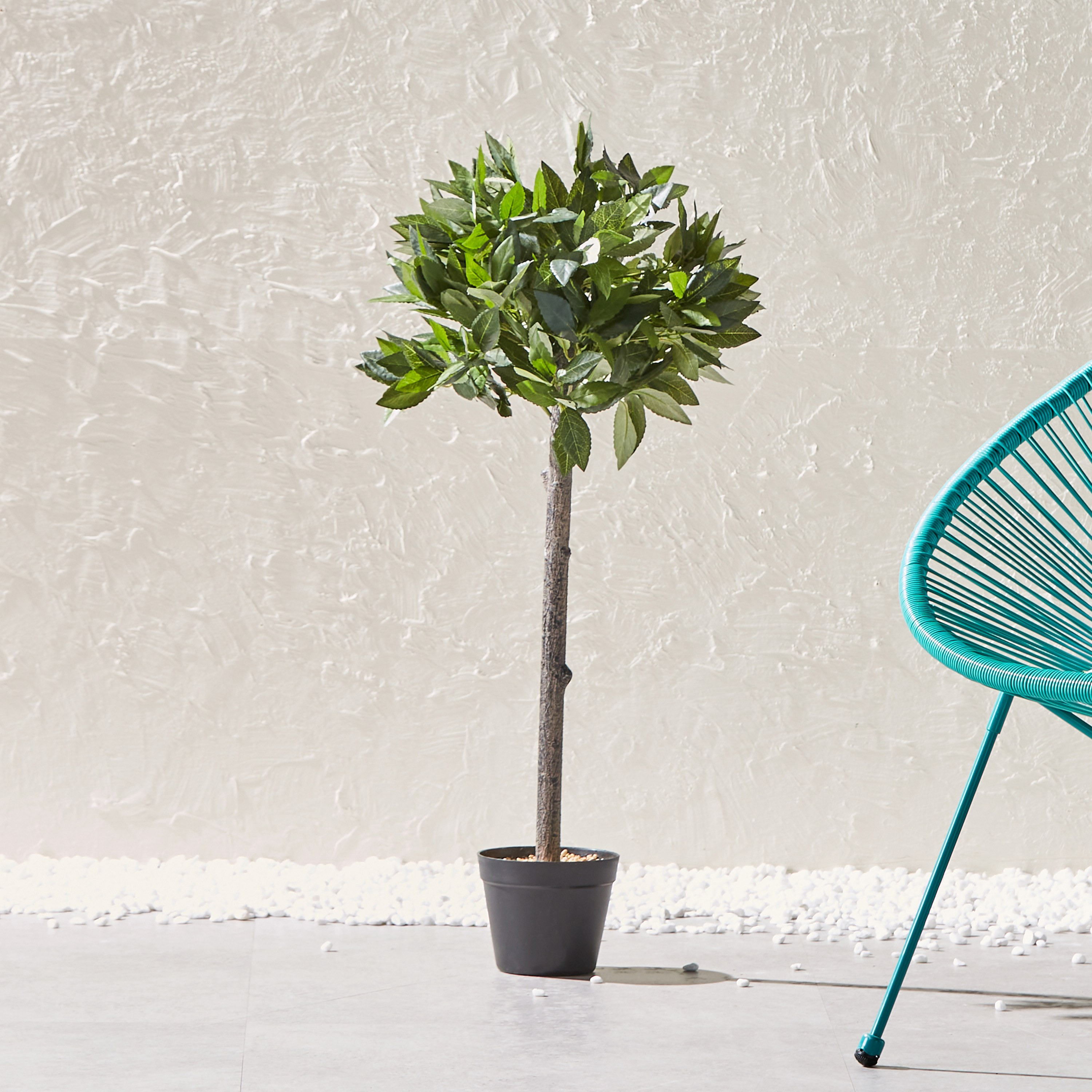 Shop Bay Leaves Tree - 95 cm | Homecentre Oman