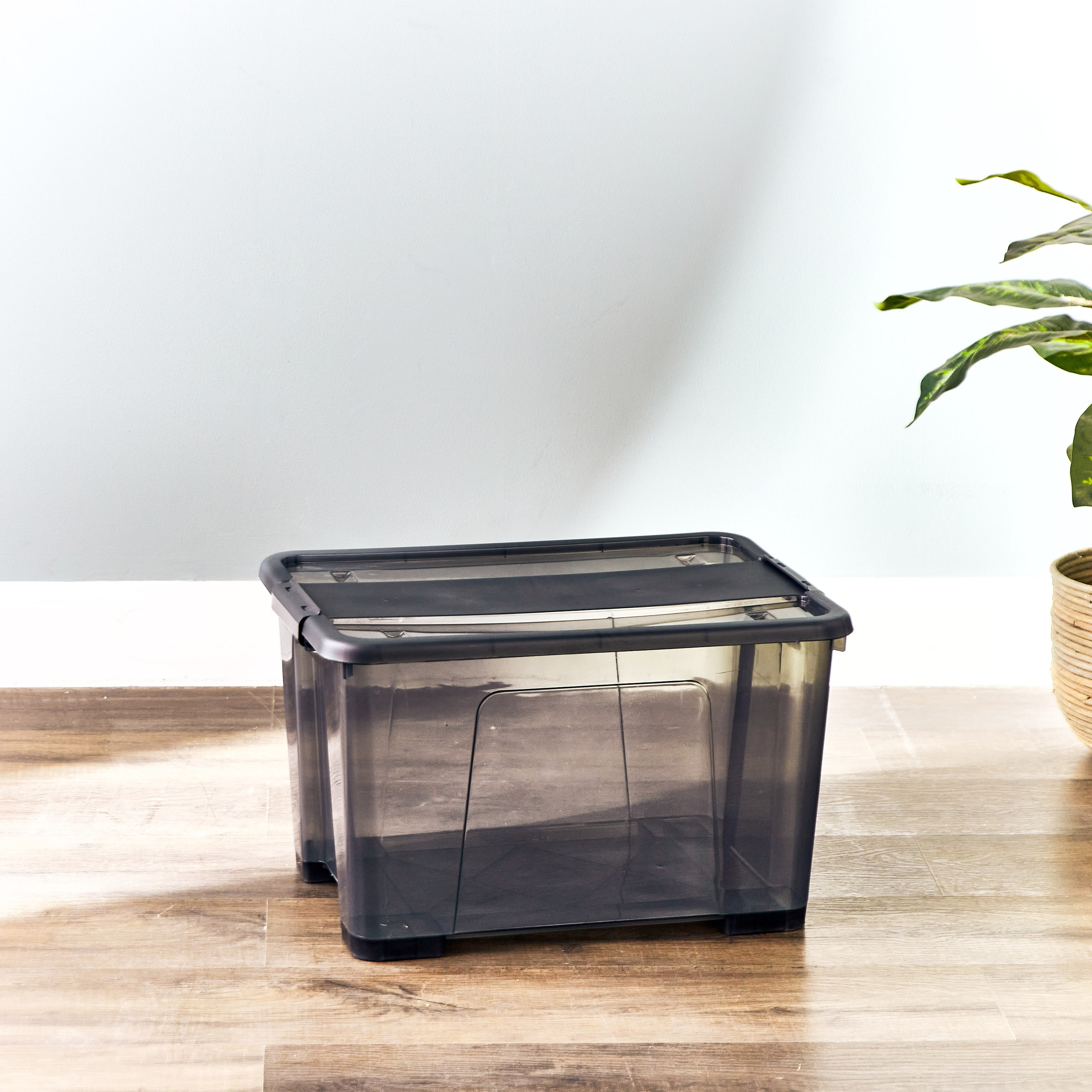 Shop Robyn Storage Box - 32 L | Home Centre UAE