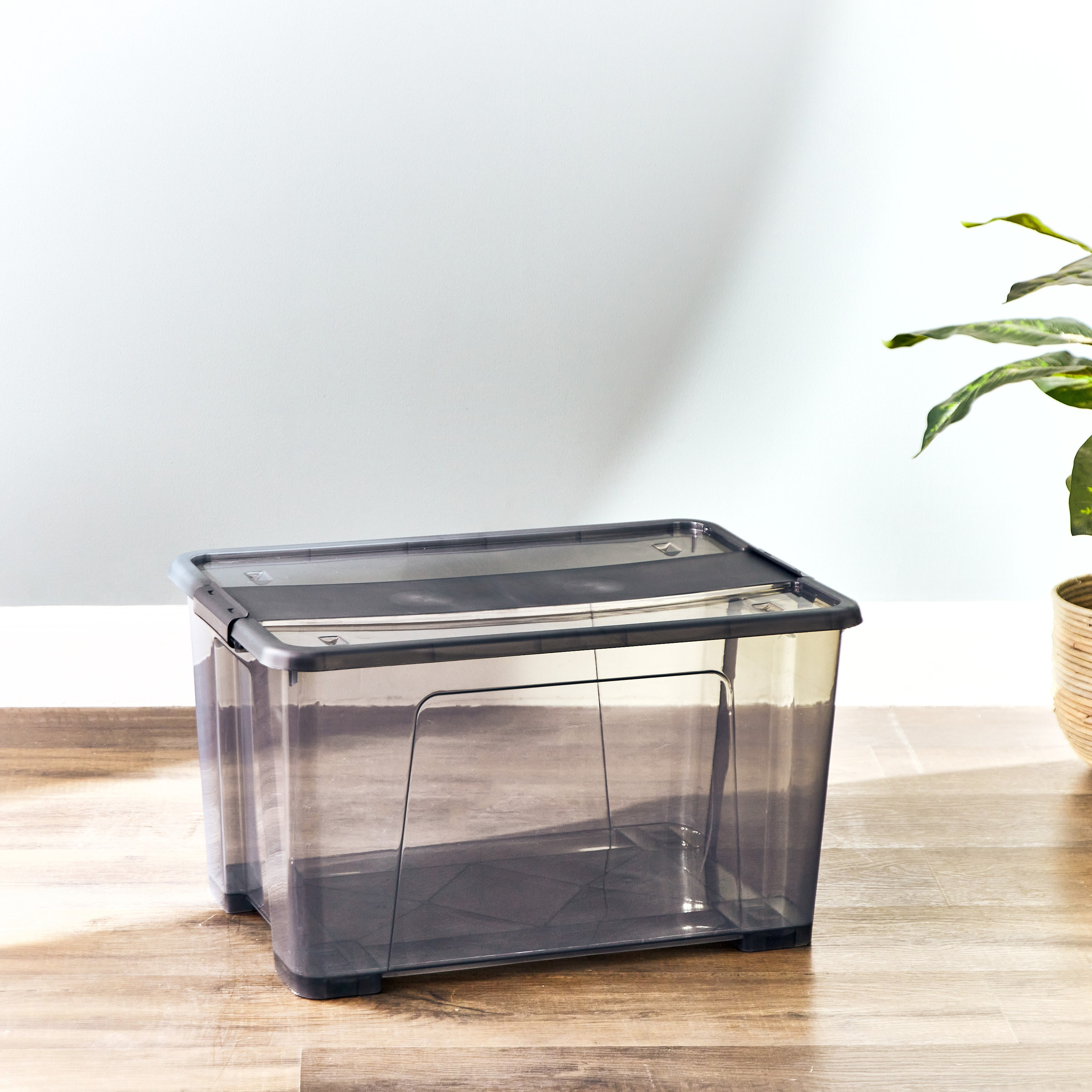 Shop Robyn Storage Box - 52 L | Home Centre UAE