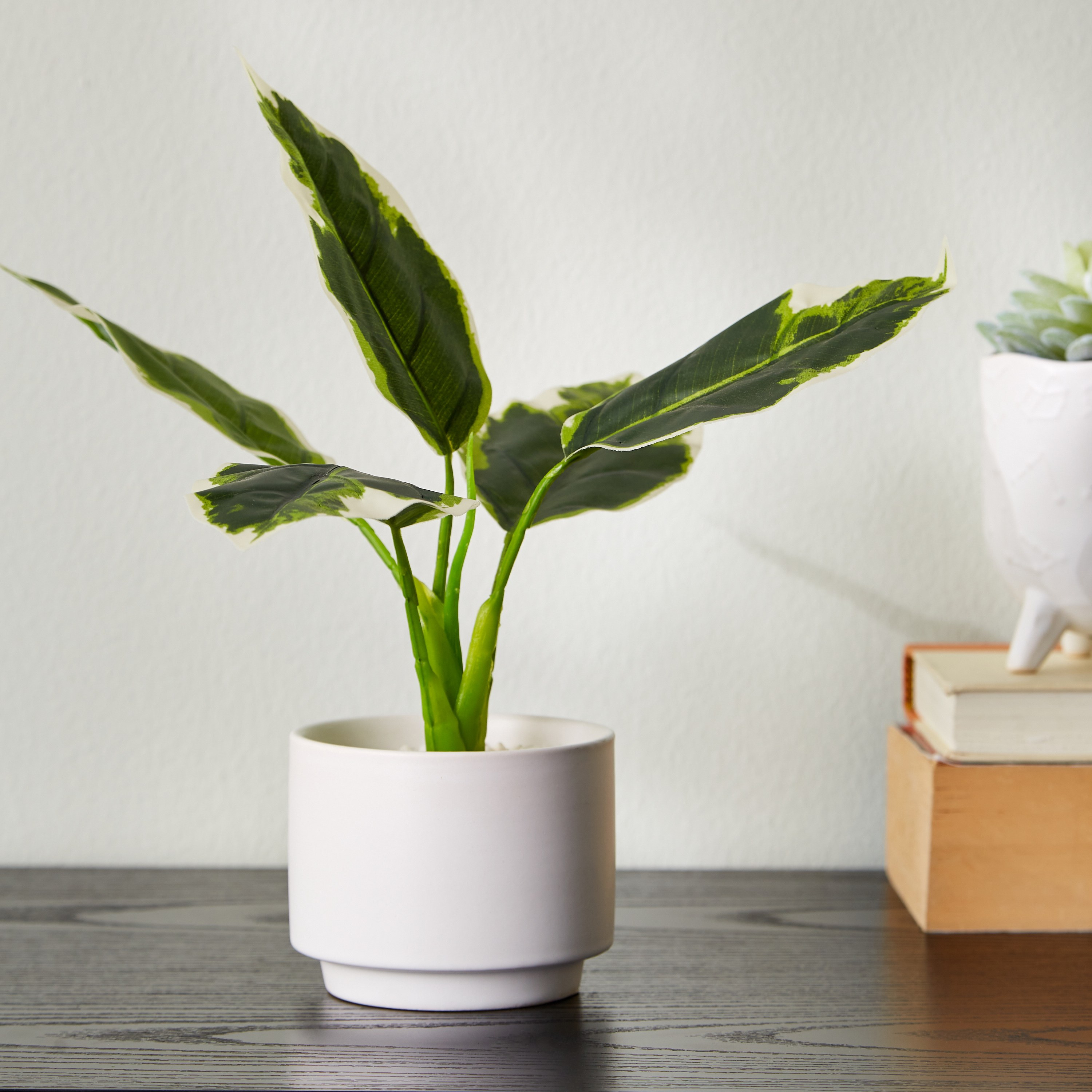 Shop Camila Plant with Pot - 29 cm | Home Centre KSA