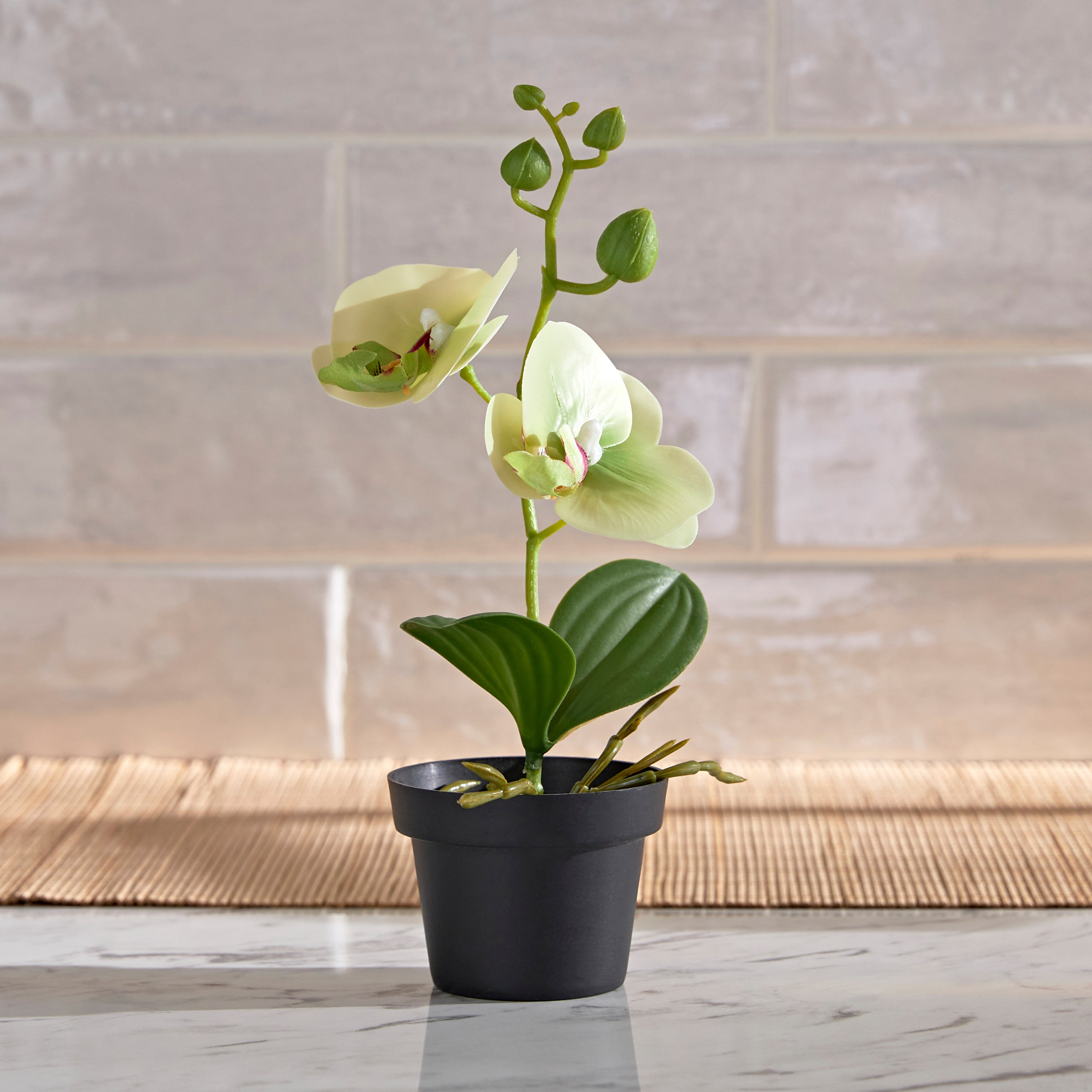 Shop Orchid Flowers with Pot - 25 cm | Home Centre Kuwait