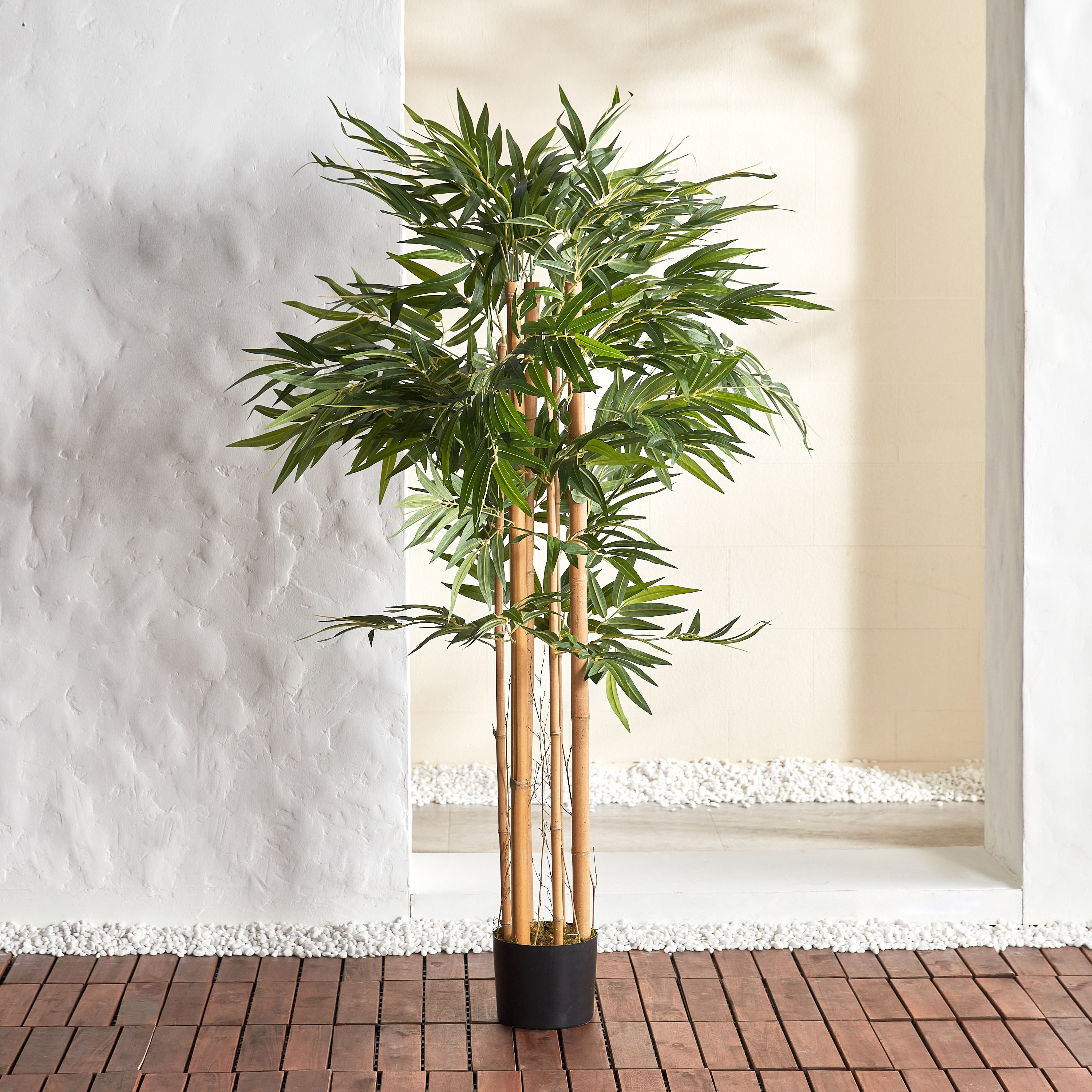 Shop Bamboo Tree in Pot - 150 cm | Homecentre Oman