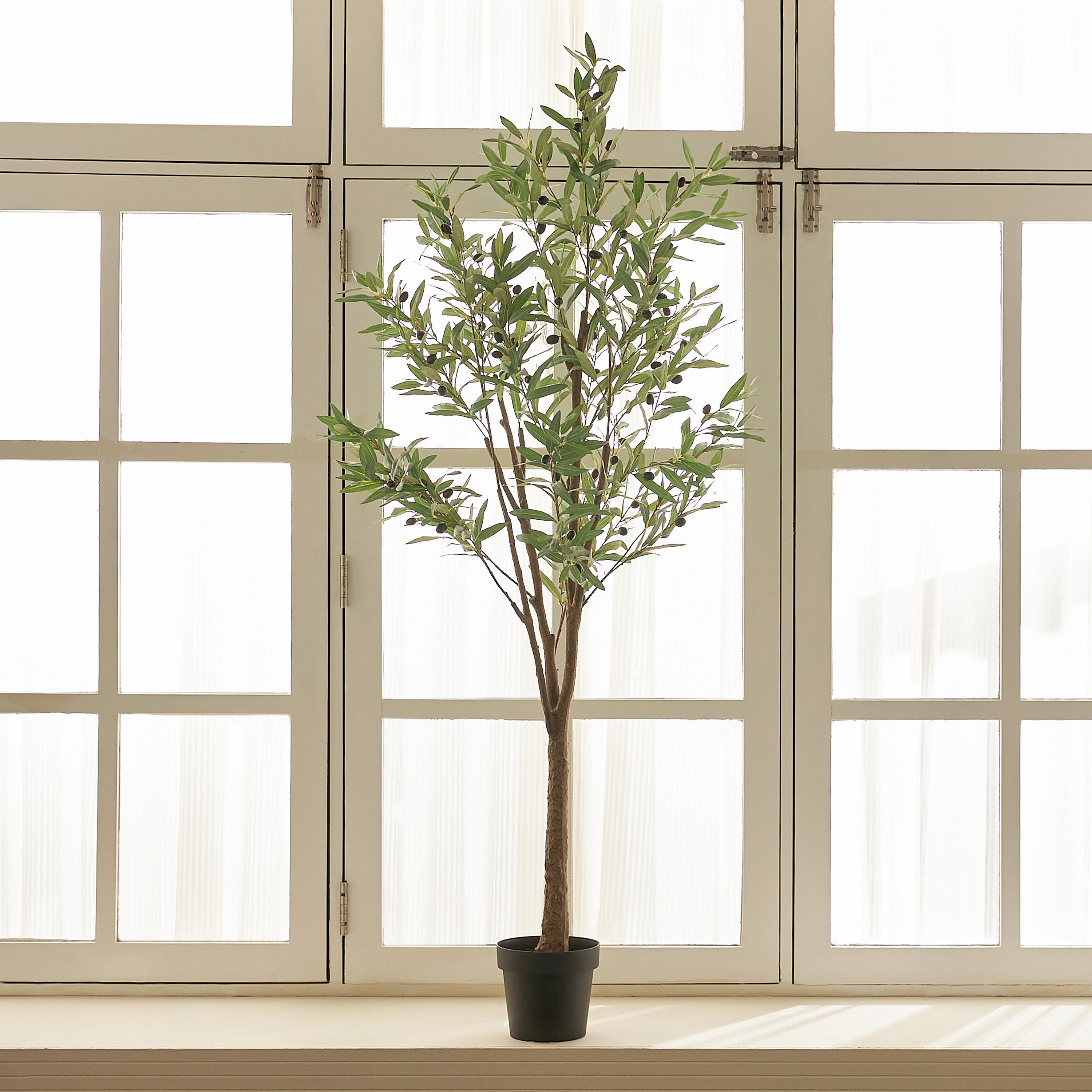Shop Olive Tree - 180 cm | Homecentre Oman