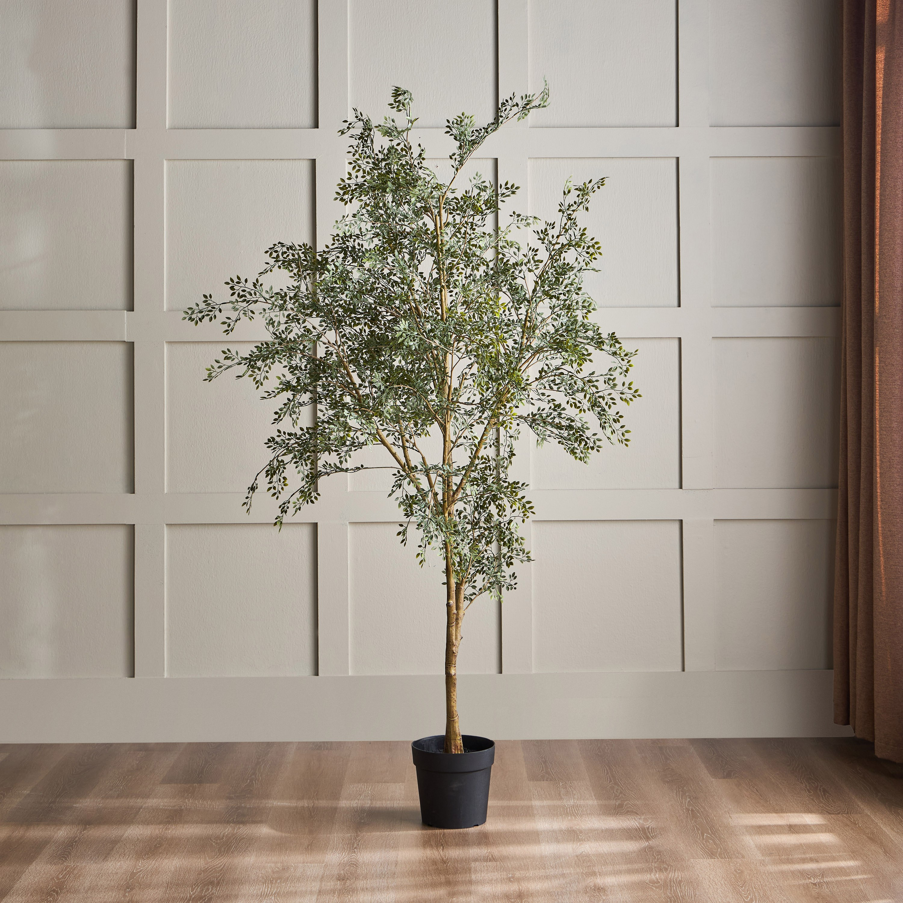 Shop Bucida Buceras Tree - 200 cm | Home Centre UAE