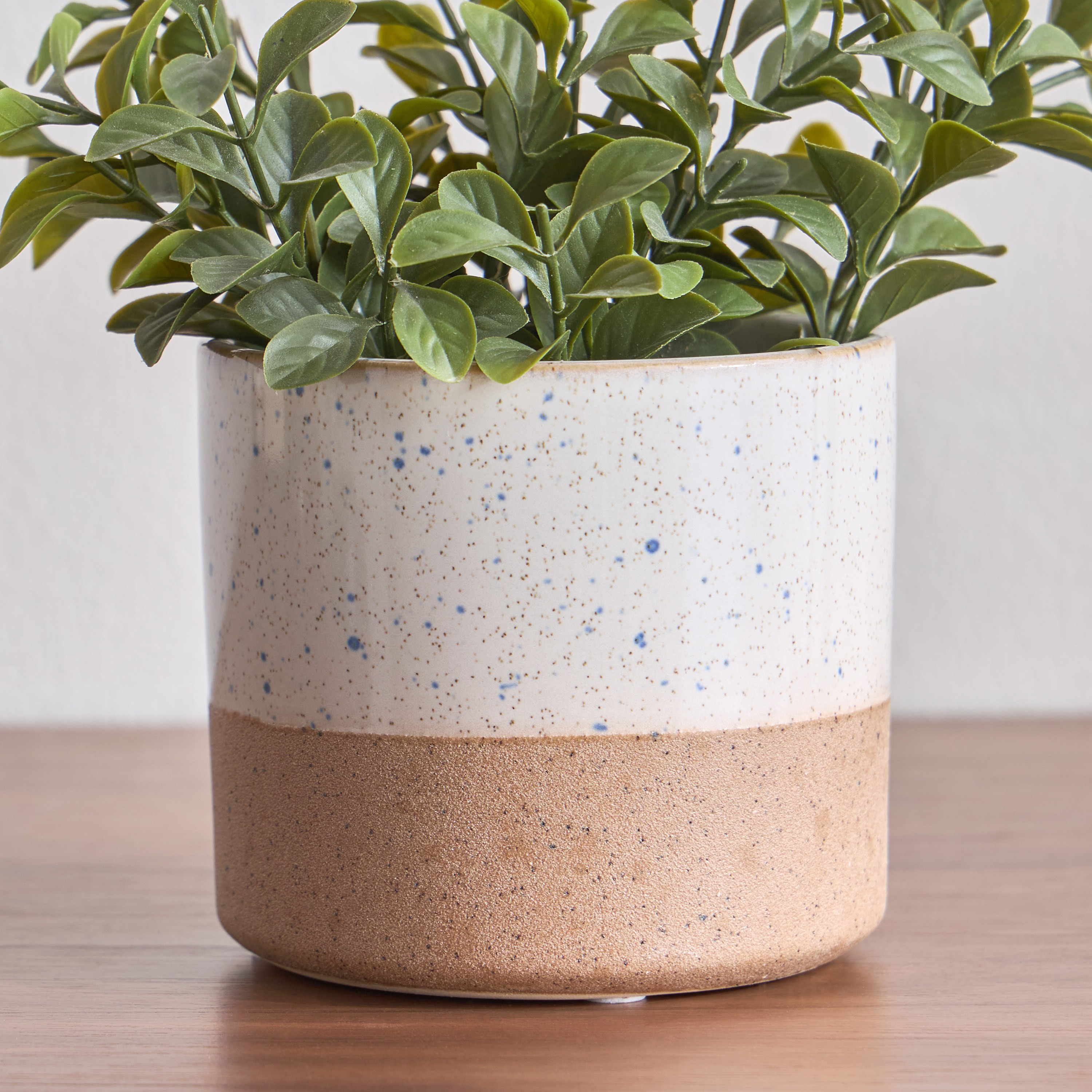 Shop Fern Ceramic Planter - 10 cm | Homecentre Oman