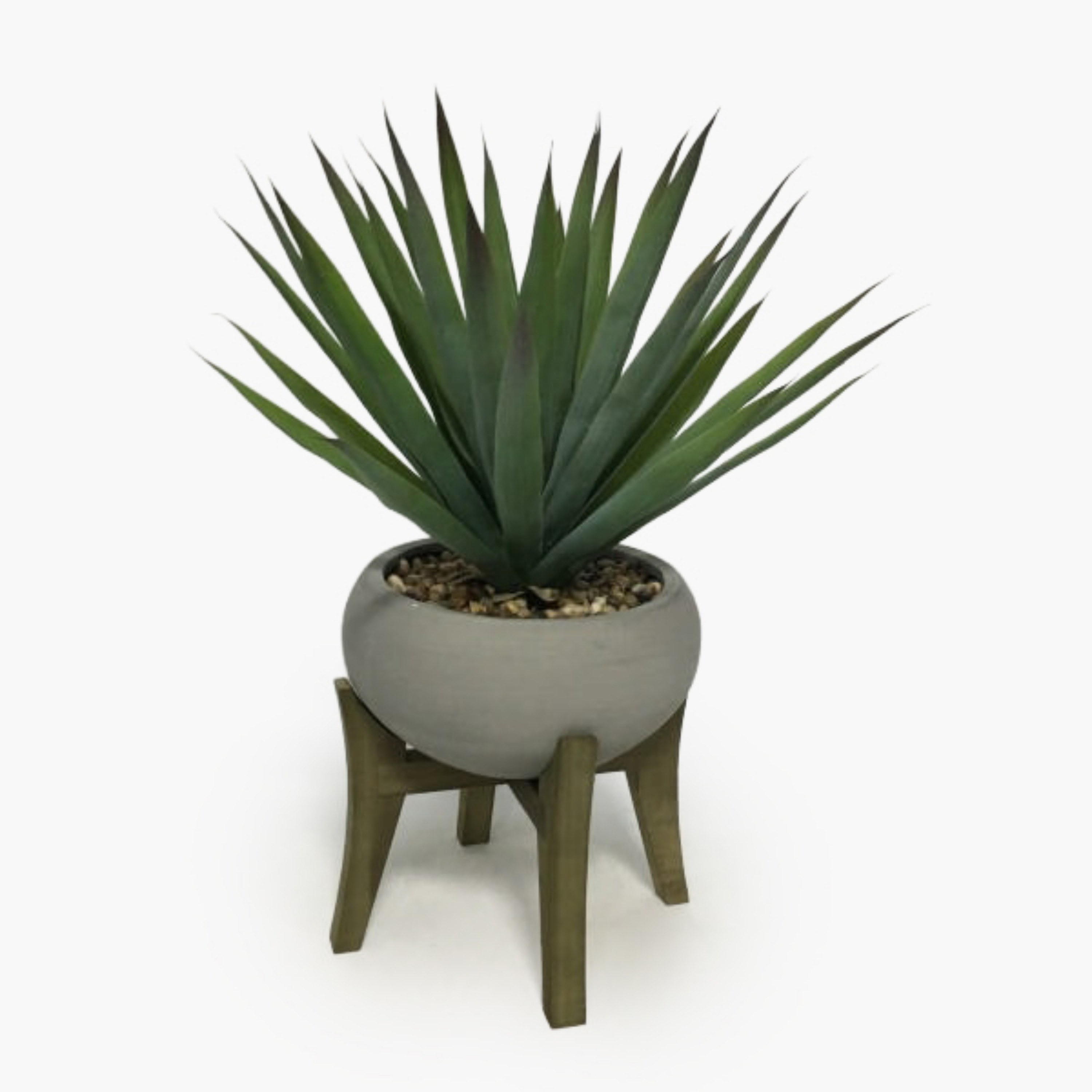 Shop Terra Agave Plant in Pot - 62 cm Online | Homecentre KSA